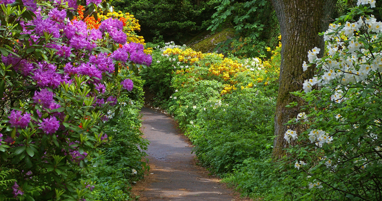 Slottsskogen - parkens framtida utveckling och förändring - Plan- och ...